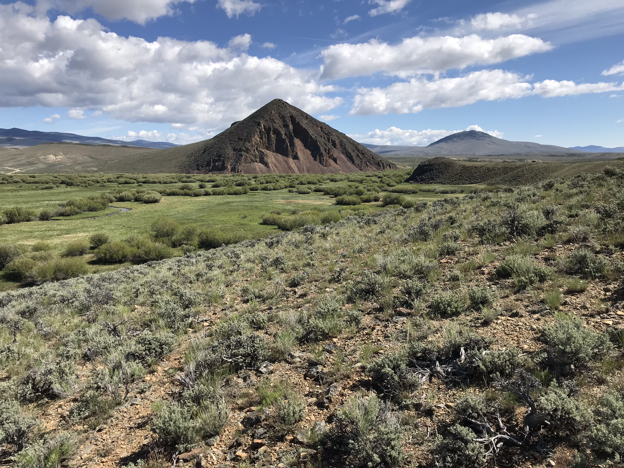 Conservation in the Intermountain West | IWJV