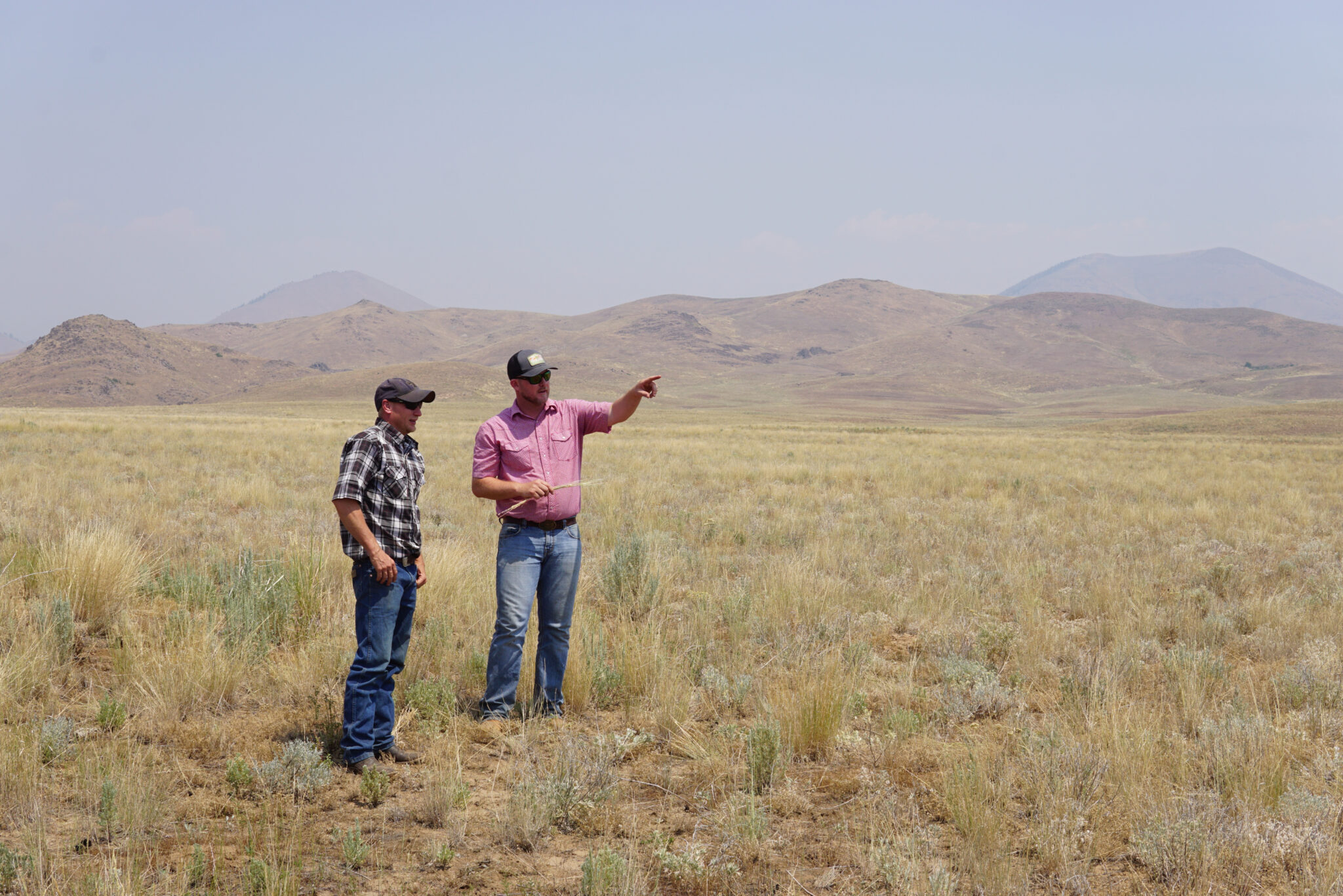 One-Stop-Shop for Zeedyk Resources - IWJV