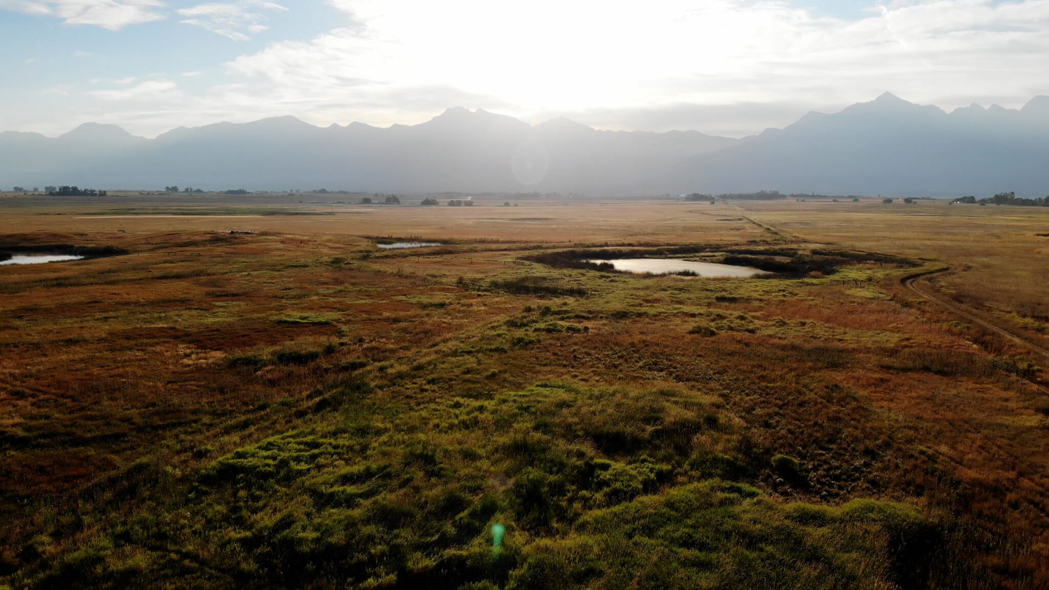 North American Wetlands Conservation Act - IWJV