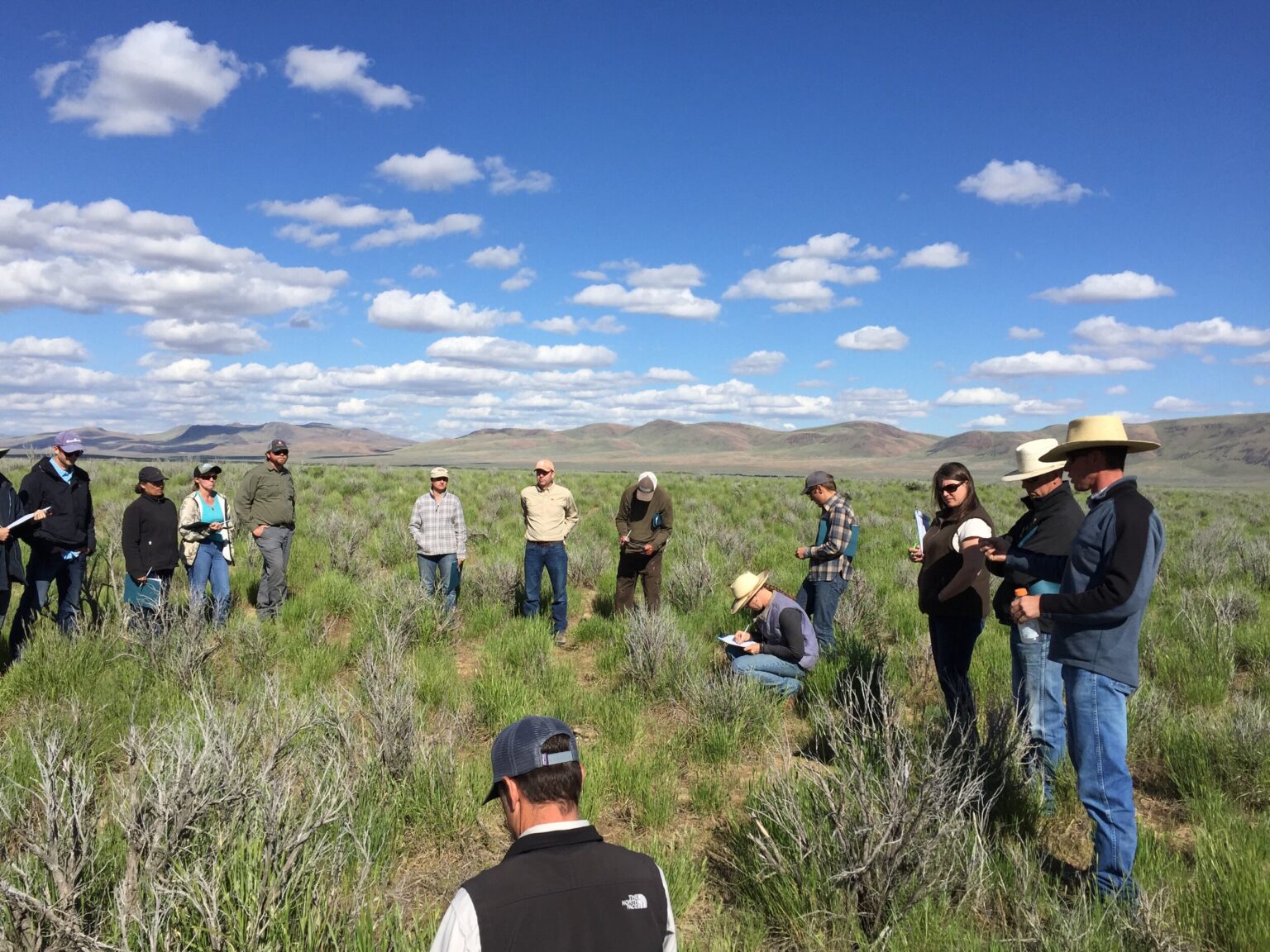 At the Woodland’s Edge: Restoration and Complexity in Colorado’s ...