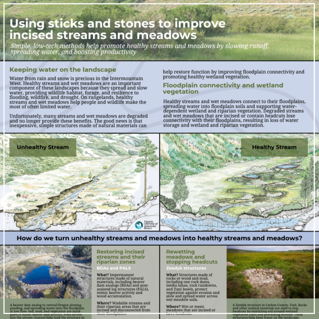 One-Stop-Shop for Zeedyk Resources - IWJV