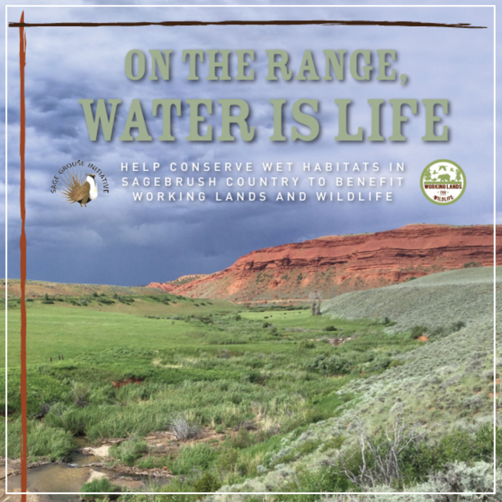 One-Stop-Shop for Zeedyk Resources - IWJV