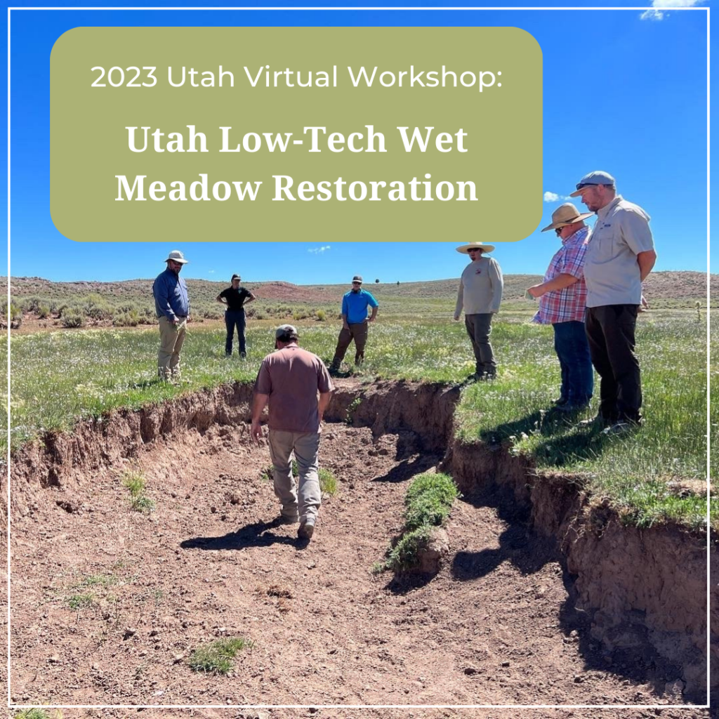 One-Stop-Shop for Zeedyk Resources - IWJV