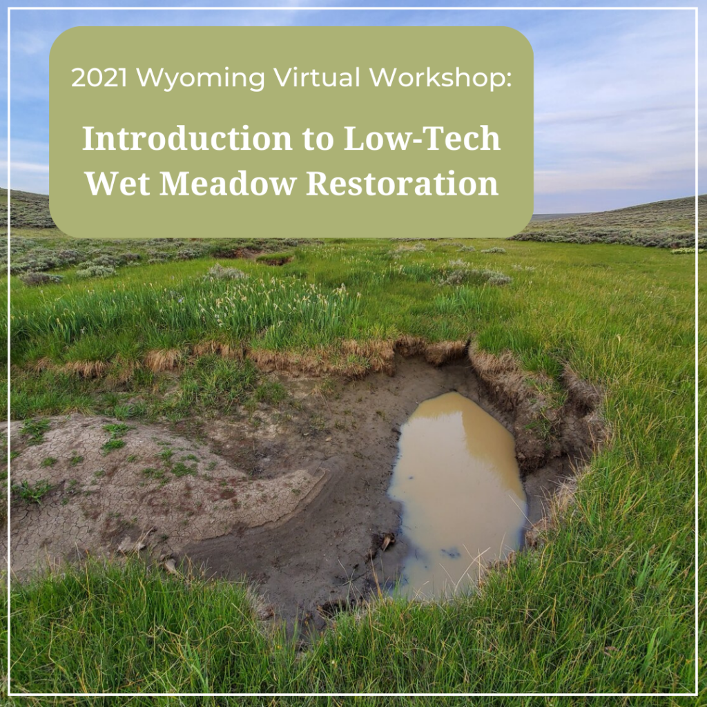 One-Stop-Shop for Zeedyk Resources - IWJV