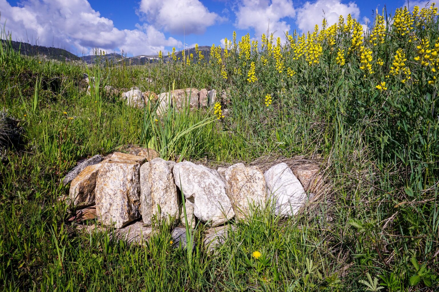 One-Stop-Shop for Zeedyk Resources - IWJV