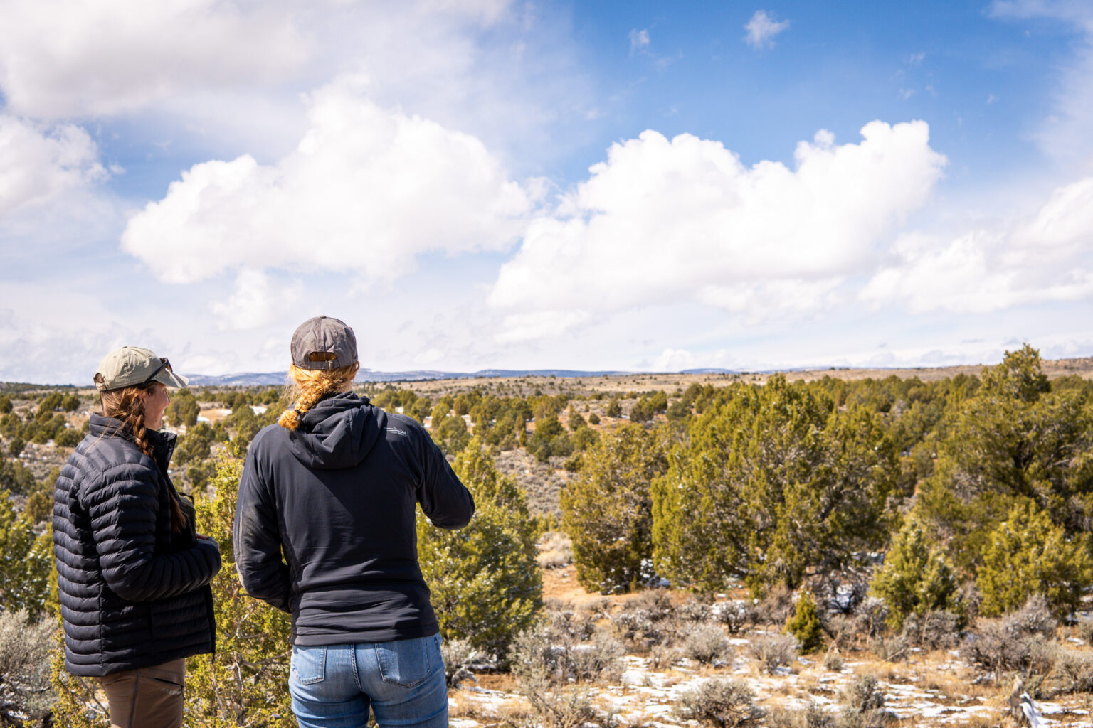 At the Woodland’s Edge: Restoration and Complexity in Colorado’s ...