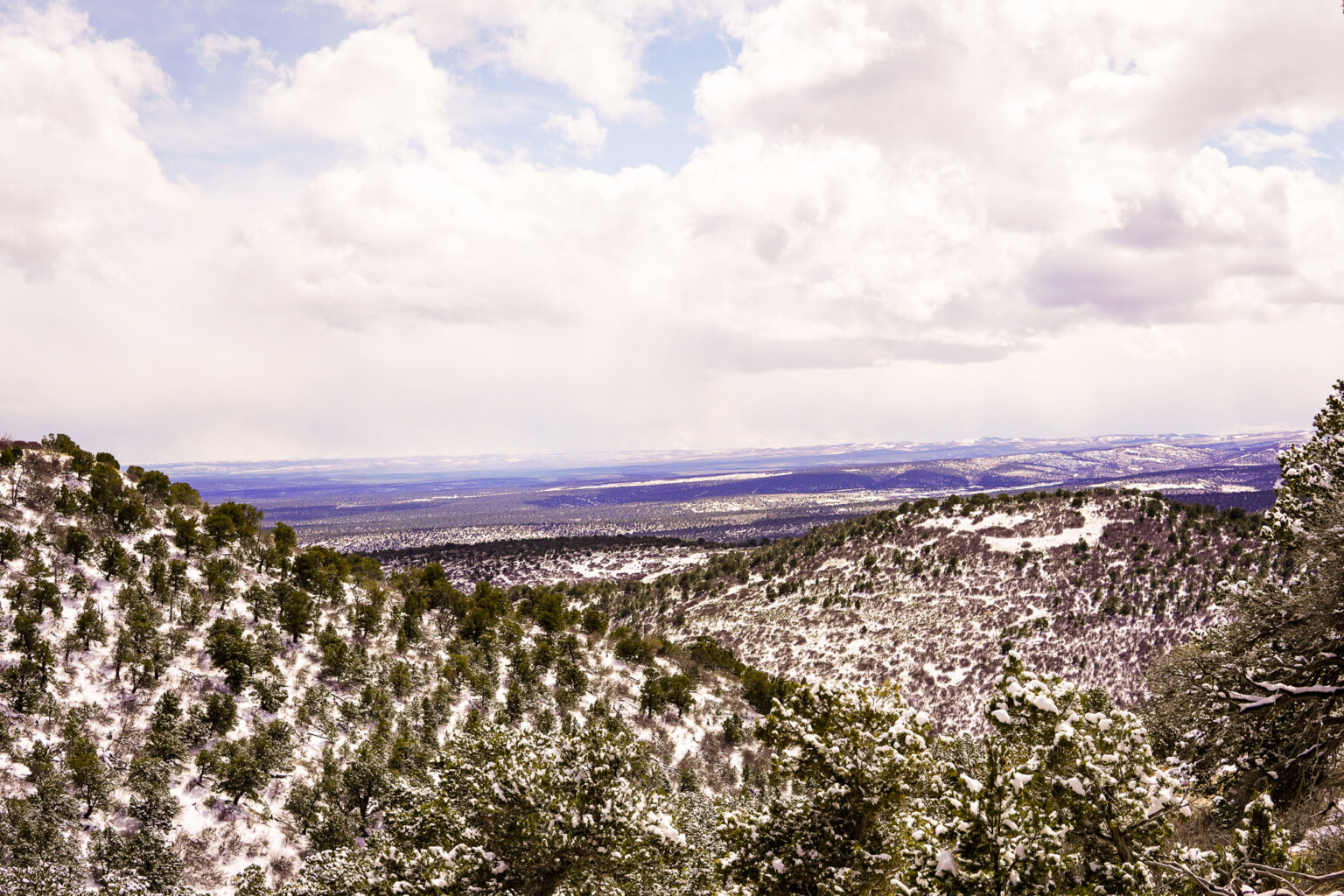 At the Woodland’s Edge: Restoration and Complexity in Colorado’s ...