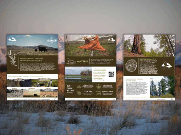 Conservation in the Intermountain West | IWJV