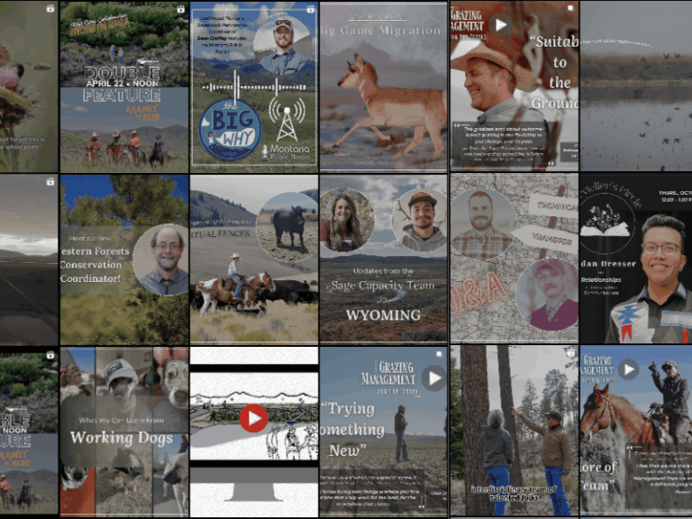 Conservation in the Intermountain West | IWJV
