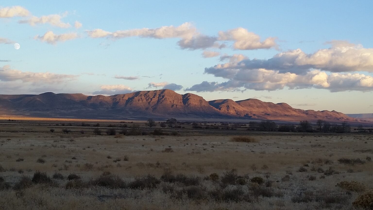 Conservation in the Intermountain West | IWJV