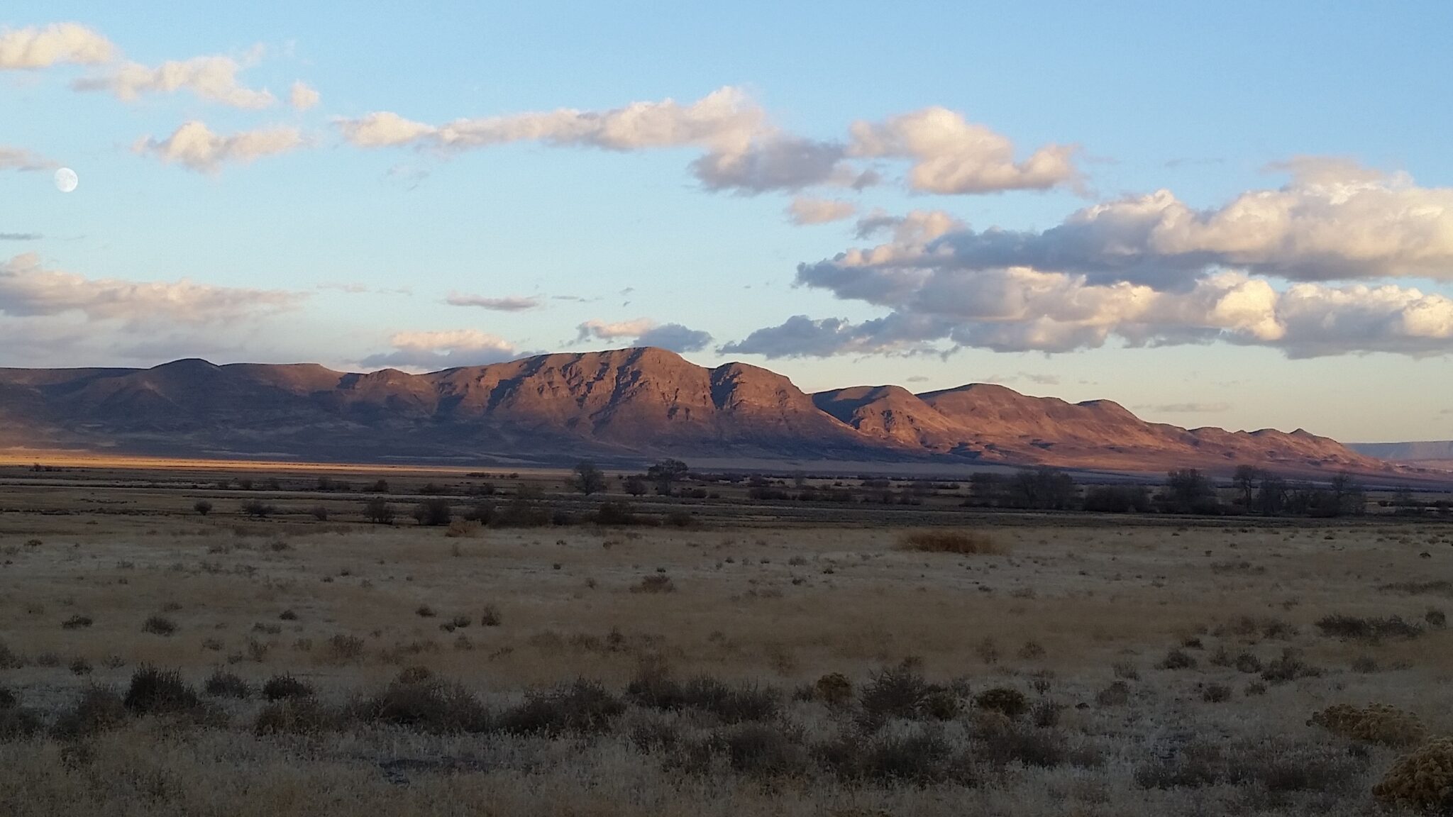 Conservation in the Intermountain West | IWJV