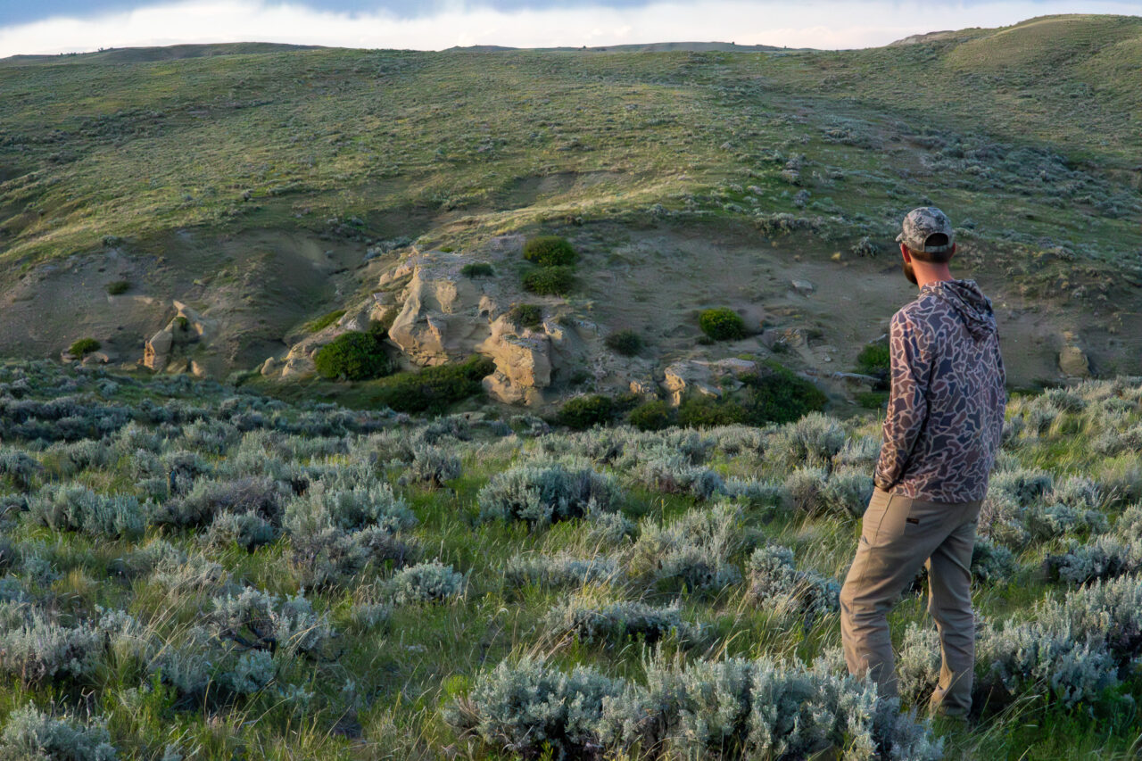 Conservation in the Intermountain West | IWJV